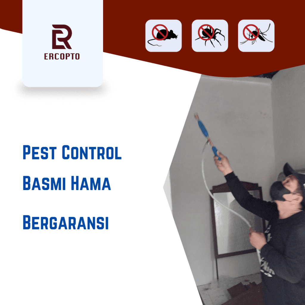 Mengenal Jasa Pest Control dan Manfaatnya untuk Lingkungan
